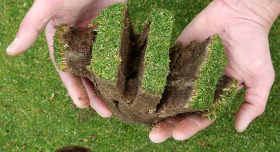 ¿Qué significa verticut en golf?